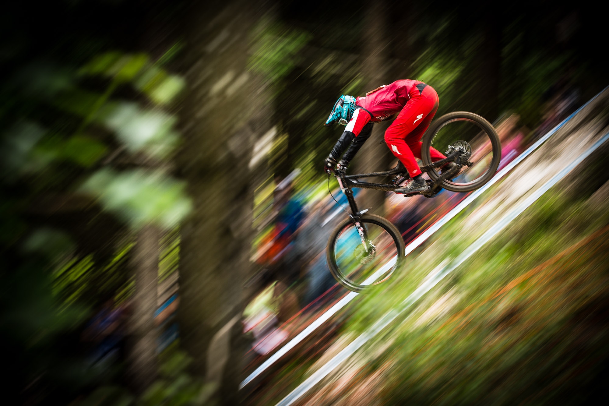 Specialized Gravity Team 2017 - iVELO